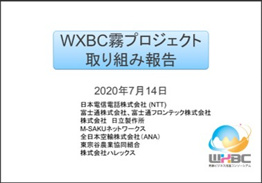 デジタルのCopの胞子をWXBCに播く（その1） - デジタルの胞子を播く