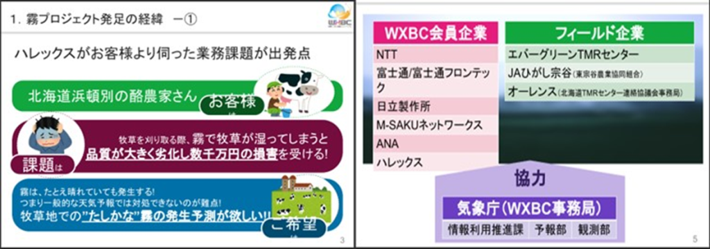 デジタルのCopの胞子をWXBCに播く（その1） - デジタルの胞子を播く